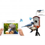 Bird Photo Booth - Shut Up And Take My Money