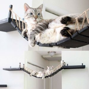 Indiana Jones Cat Bridge - Shut Up And Take My Money