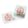 Brain Specimen Coasters - Shut Up And Take My Money
