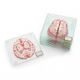 Brain Specimen Coasters - Shut Up And Take My Money