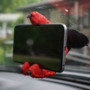 Eagle Claw Phone Holder - Shut Up And Take My Money