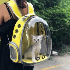 Capsule Pet Travel Backpack - Shut Up And Take My Money
