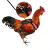 Chicken Harness - Shut Up And Take My Money