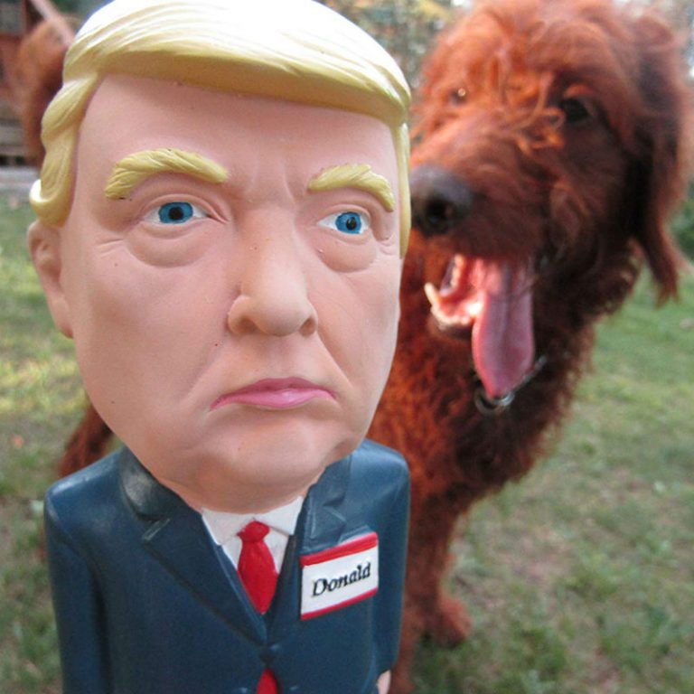 Make Dog Toys Great Again With The Realistic Looking Trump Dog Squeaker ...
