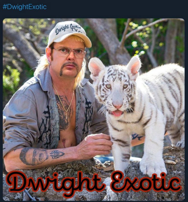 Dwight Exotic - Dwight Schrute Joe Exotic Meme - Shut Up And Take My Money
