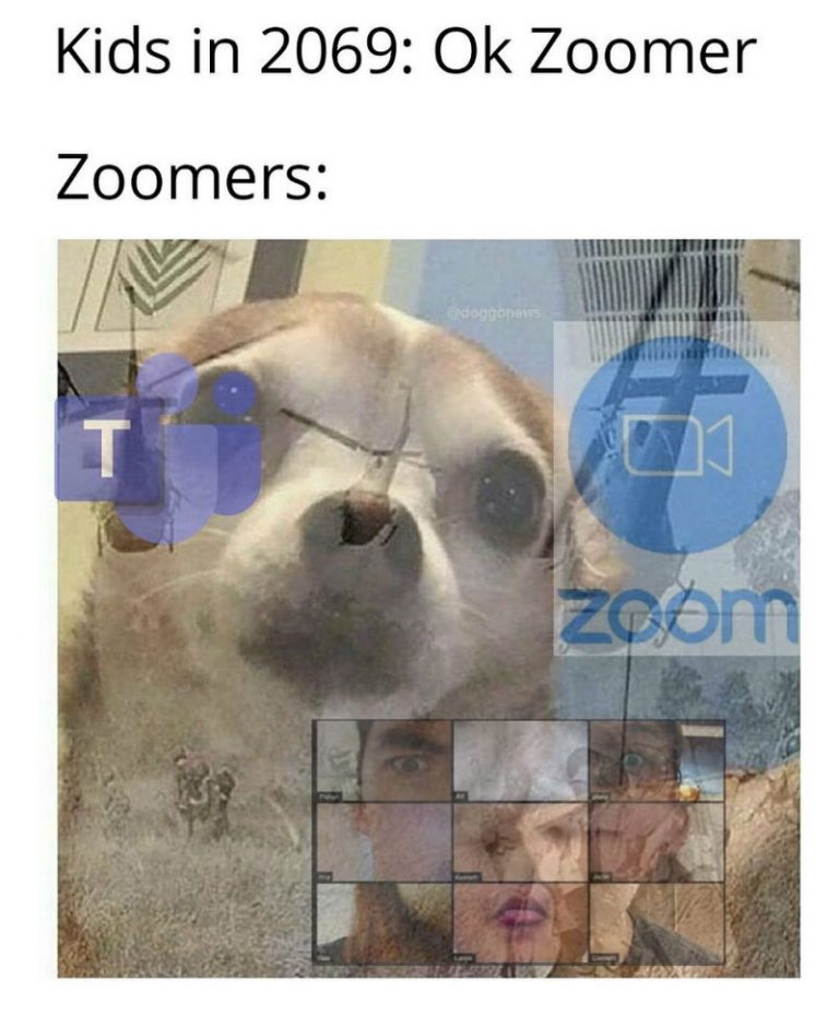 zoomer memes Archives - Shut Up And Take My Money