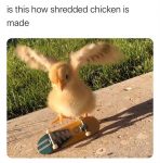 Is This How Shredded Chicken Is Made - Meme - Shut Up And Take My Money