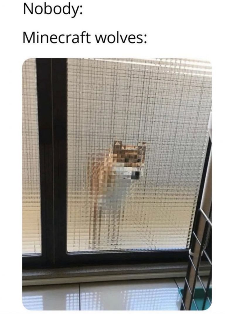Nobody Minecraft Wolves - Meme - Shut Up And Take My Money