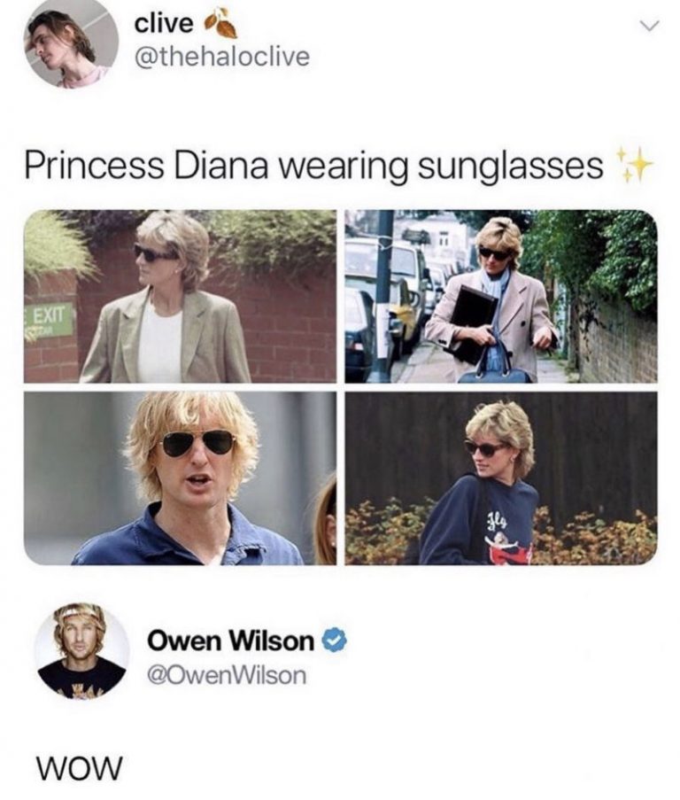 Owen Wilson Looks Like Princess Diana - Meme - Shut Up And Take My Money