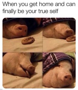 When You Get Home And Can Finally Be Your True Self - Meme - Shut Up ...