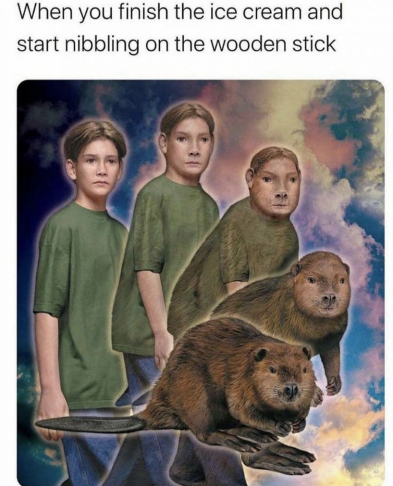 animorphs beaver meme Archives - Shut Up And Take My Money