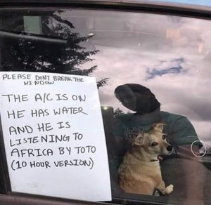 Please Don't Break The Window He Is Listening To Africa By Toto - Meme ...