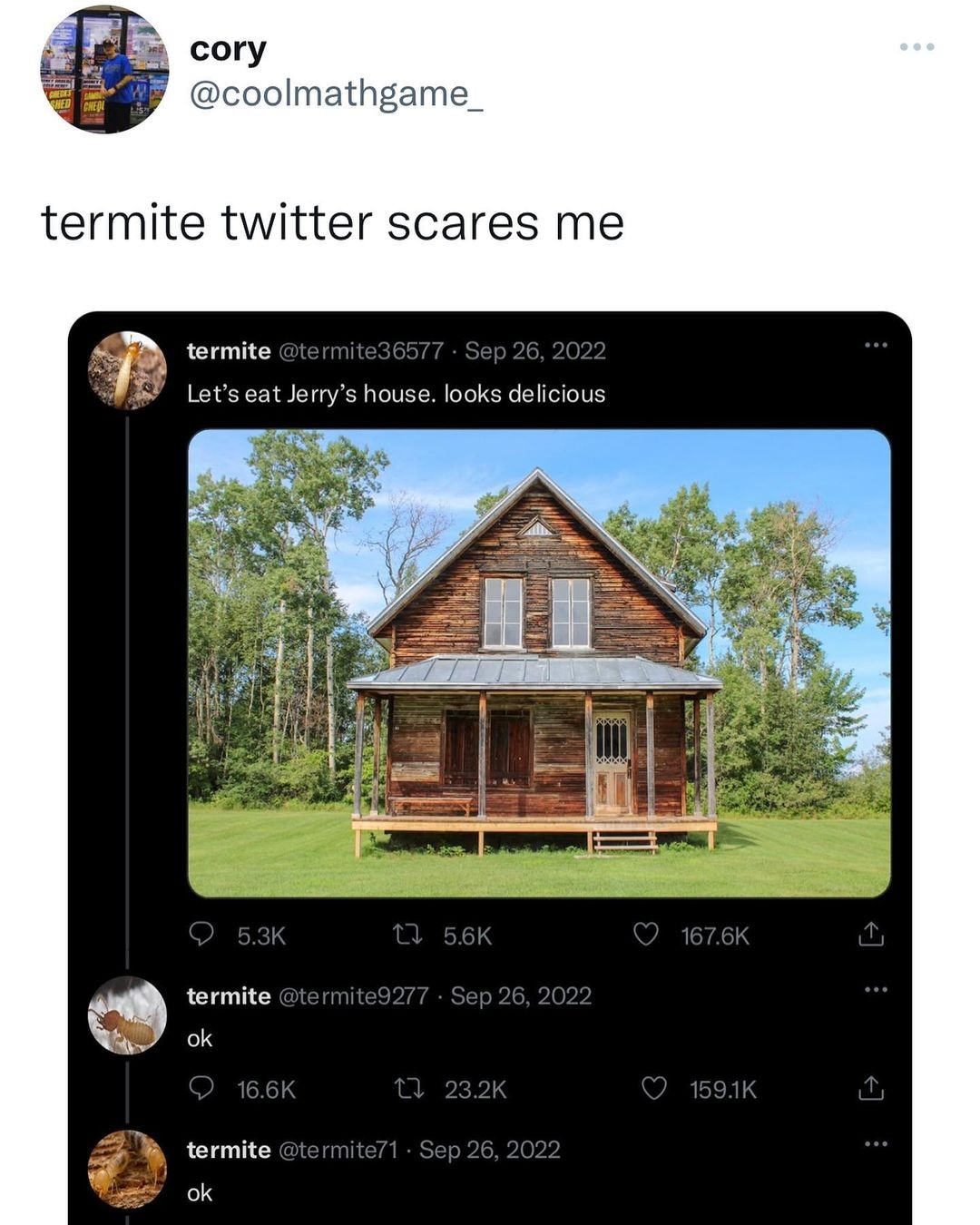 Termite Memes