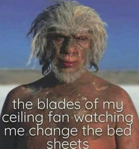 The Blades Of My Ceiling Fan Watching Me Change The Bed Sheets ...