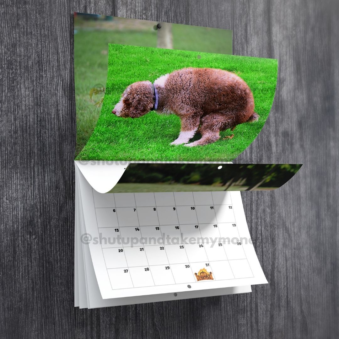 Cute Puppies 2024 Prank Calendar - Shut Up And Take My Money